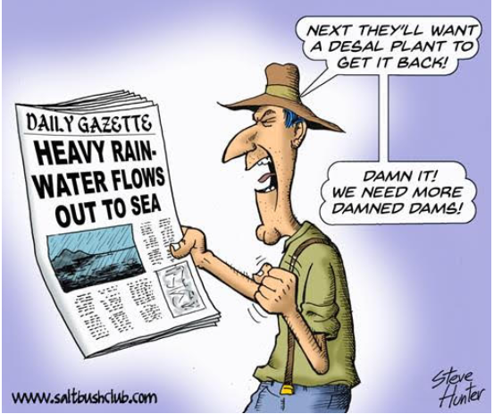 Curse Less but Dam More - The Post & Email