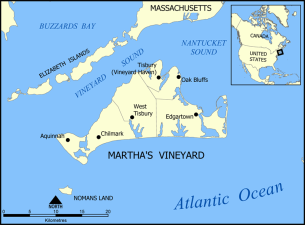 The Tragic Mulatto of Martha’s Vineyard - The Post & Email